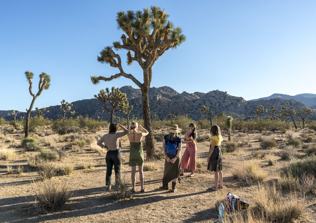 The Joshua Tree: Myth, Mutualism and Survival - THE MOJAVE PROJECT